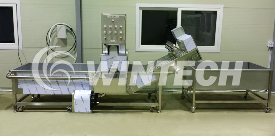 11. 나물류 전처리 설비-와류버블자동세척기 > 설치사례 | WINTECH